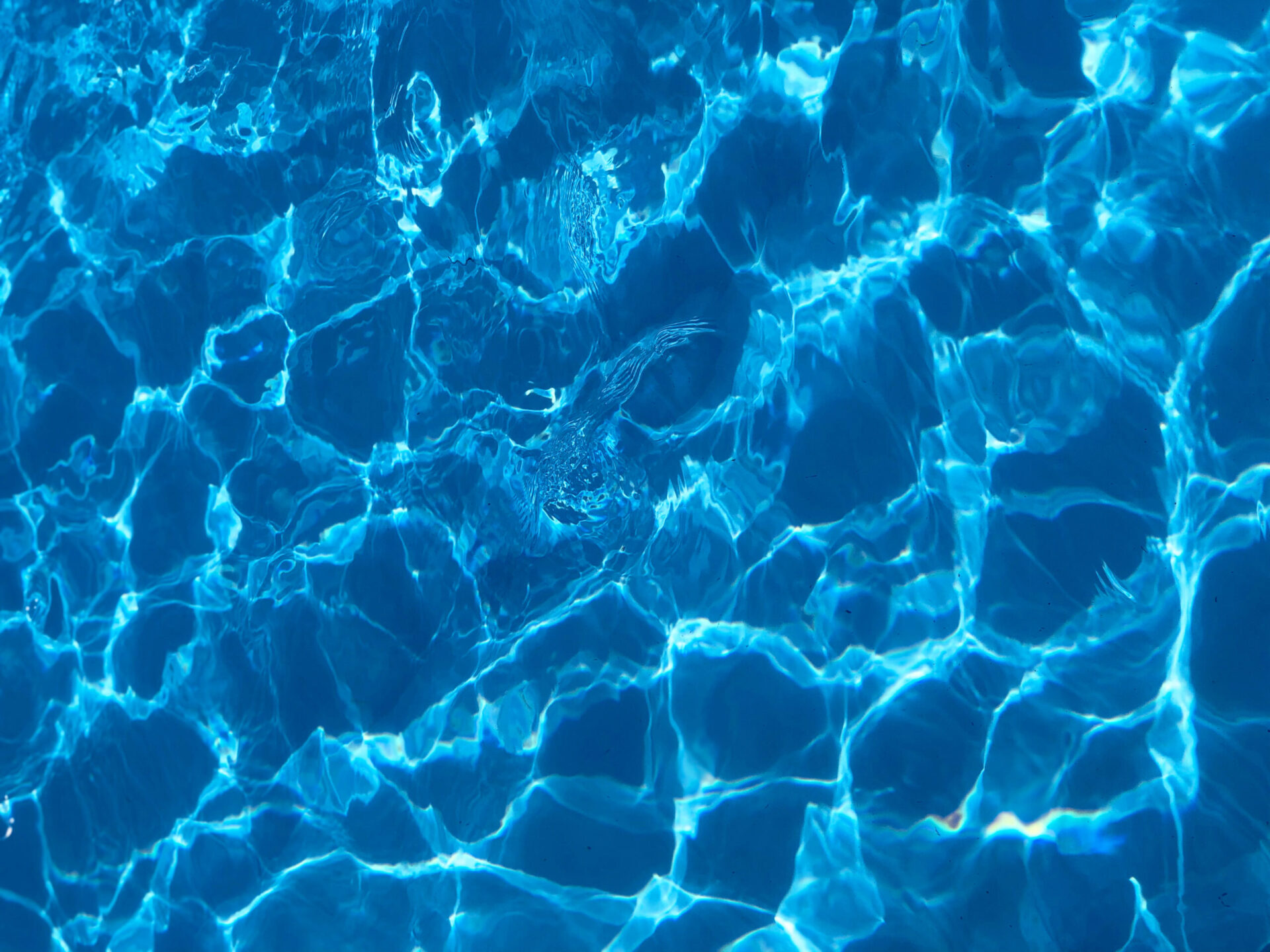 Swimming Pool Models and Options - Evi Pools