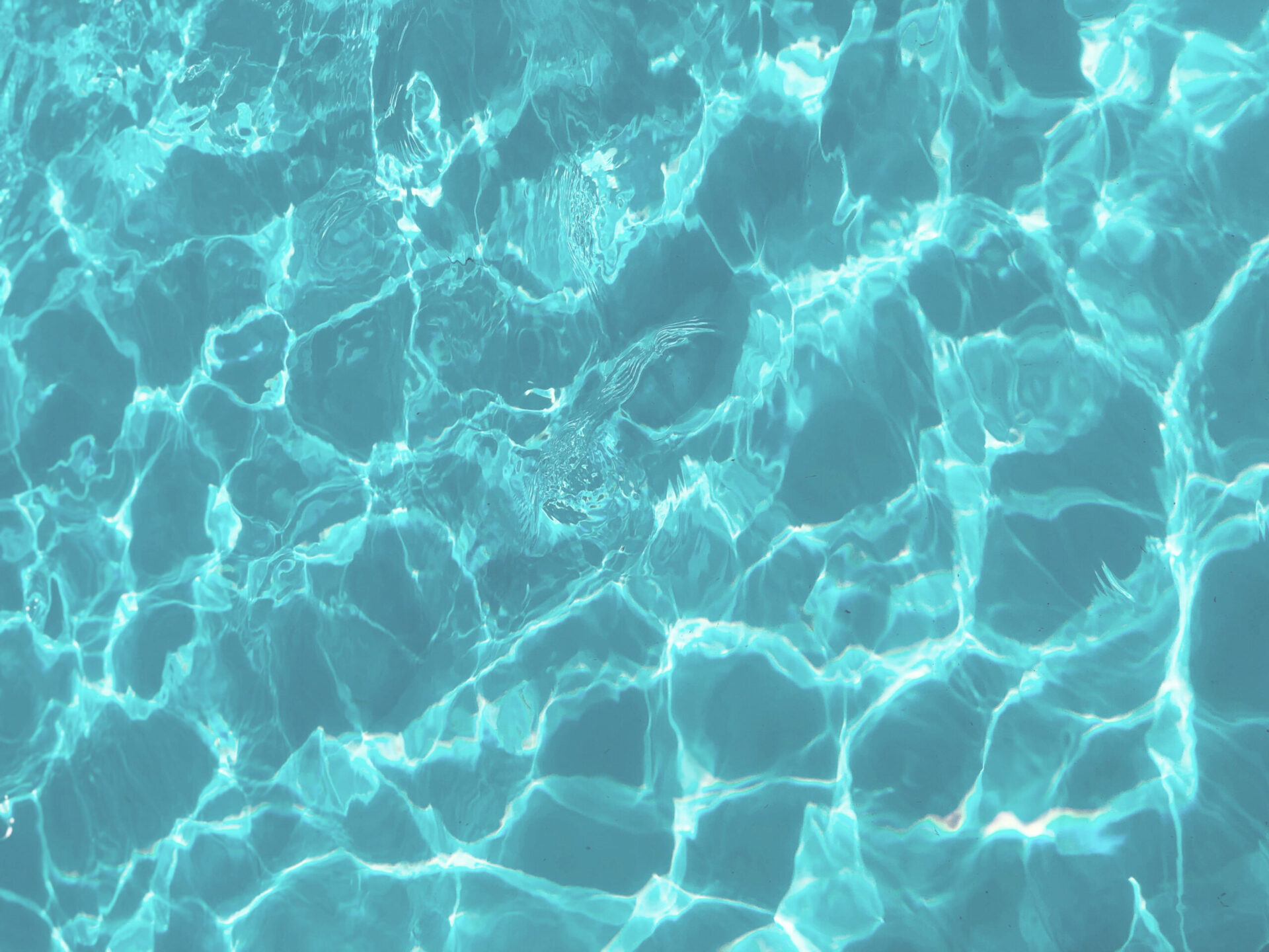 Swimming Pool Models and Options - Evi Pools